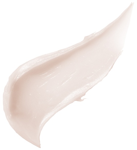 LANO Lanolips 101 Ointment » buy online | NICHE BEAUTY