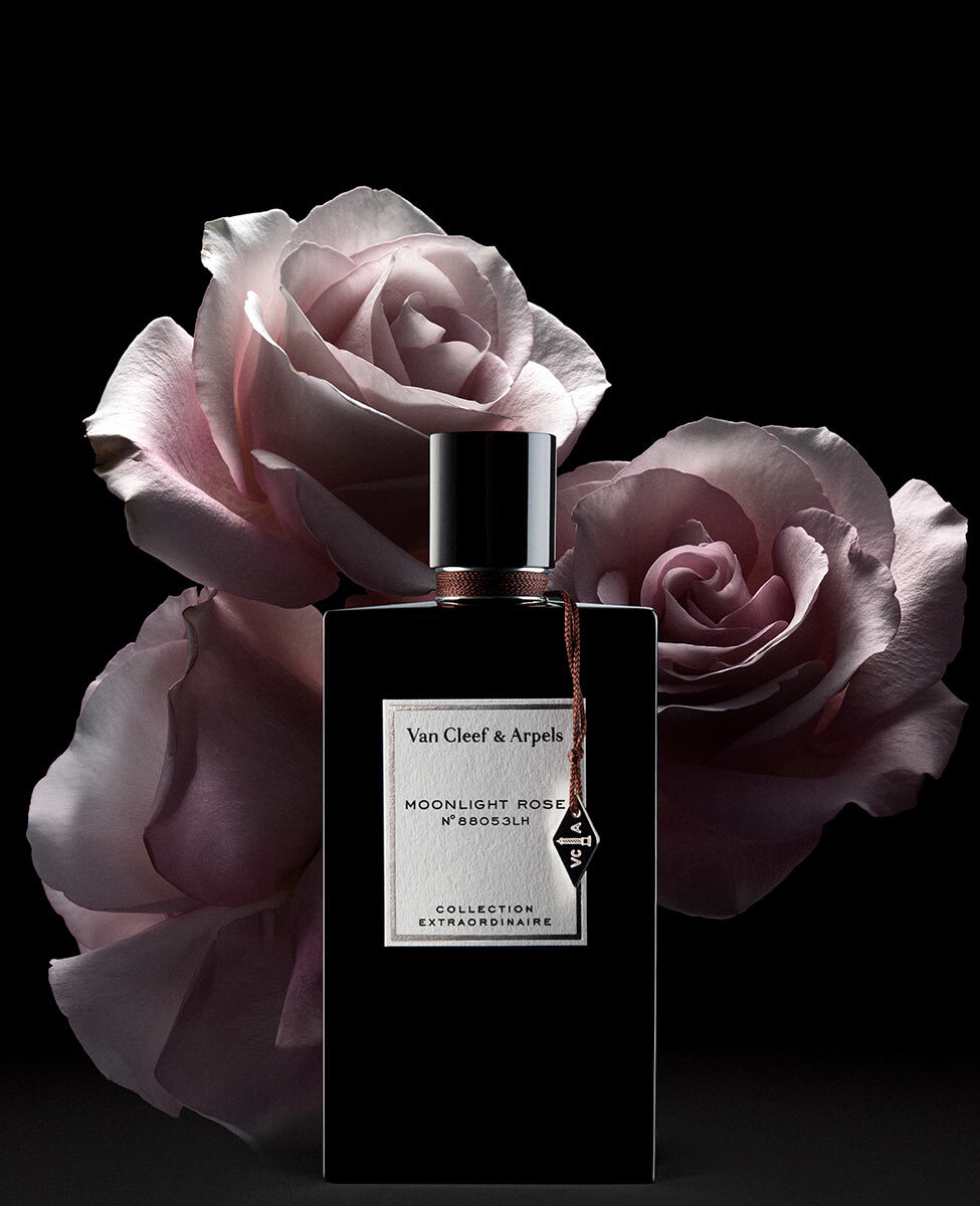 VAN CLEEF & ARPELS Moonlight Rose » buy online | NICHE BEAUTY